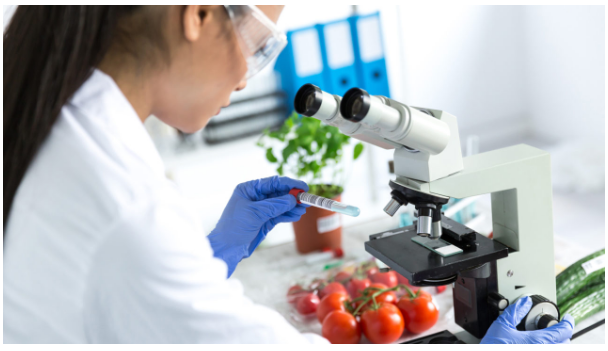 How to become Food Engineer/Scientist in India | iDreamCareer